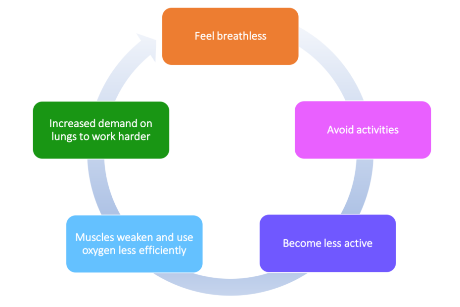 Cycle-of-inactivity – Lung Flare Care